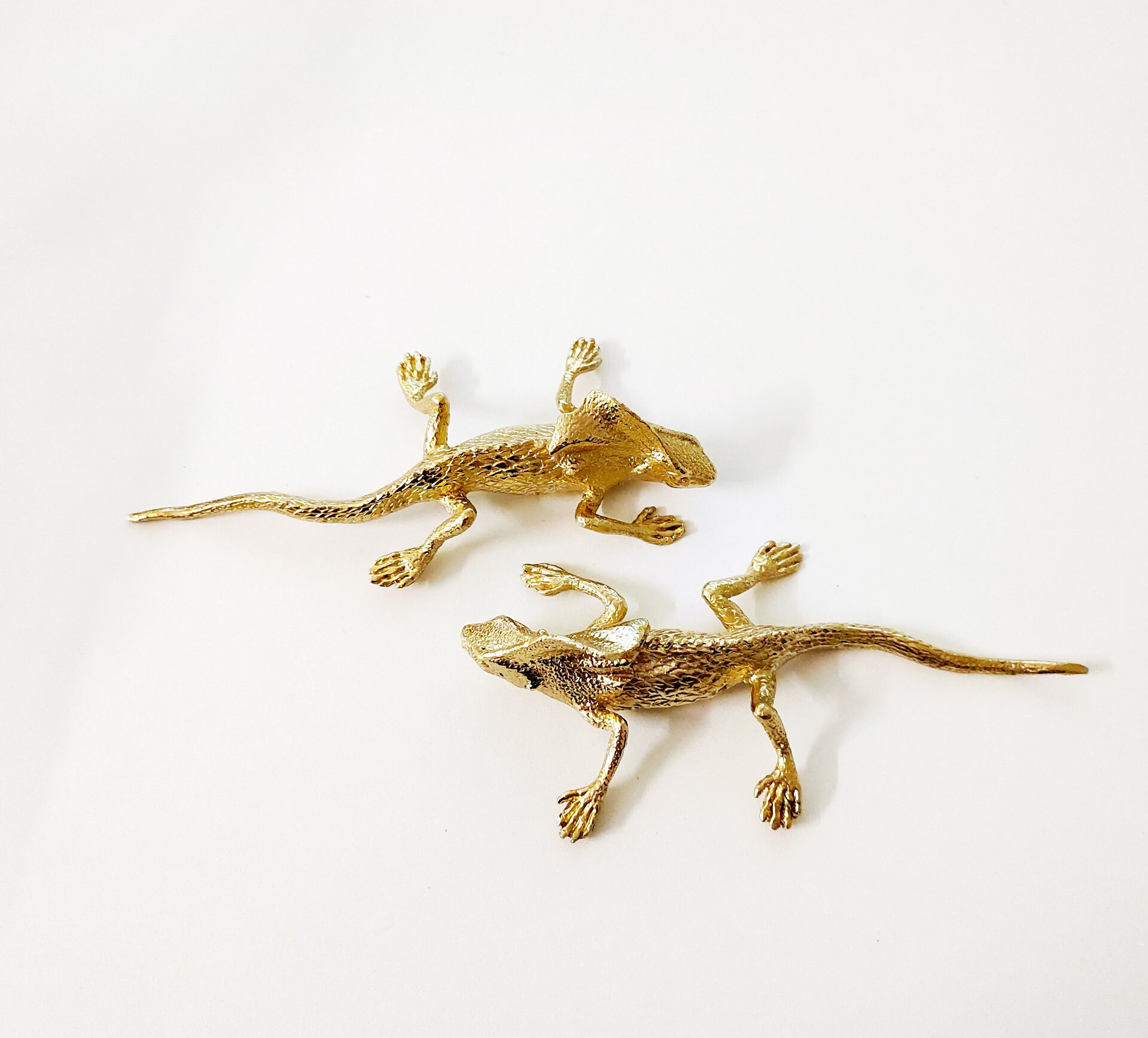 Solid Brass Lizard Knobsreptile Handles Brass Handlesdrawer - Etsy