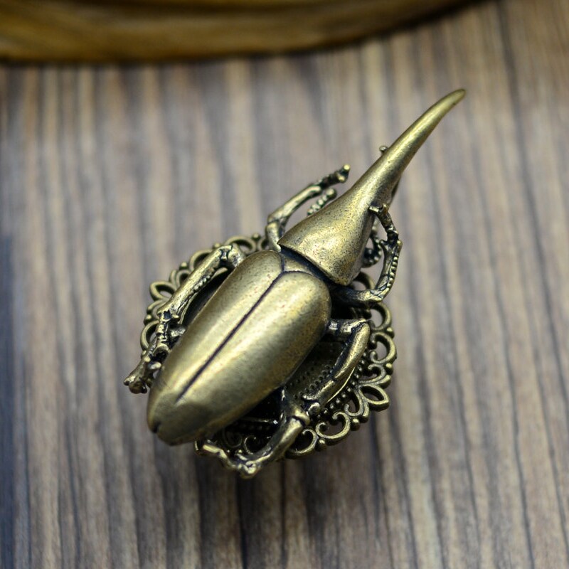 Insect Drawer Knobs - Etsy