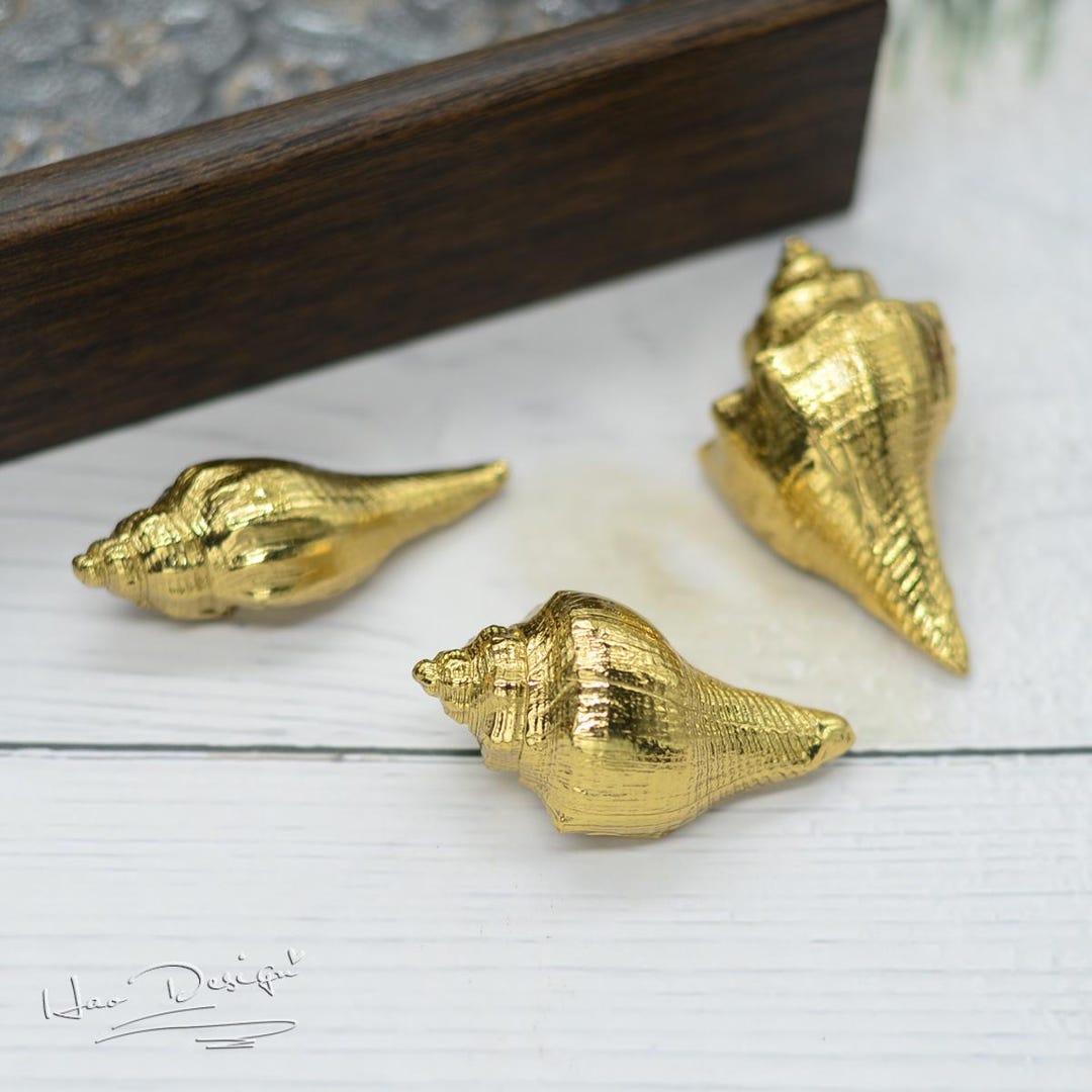 Brass Conch Knobs,kitchen Cabinet Knobs,brass Drawer Knob,drawer Pulls ...