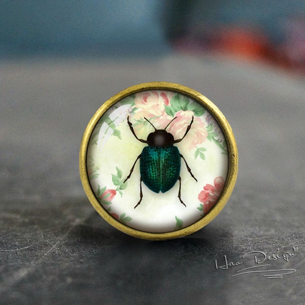 Insect Drawer Knobs - Etsy