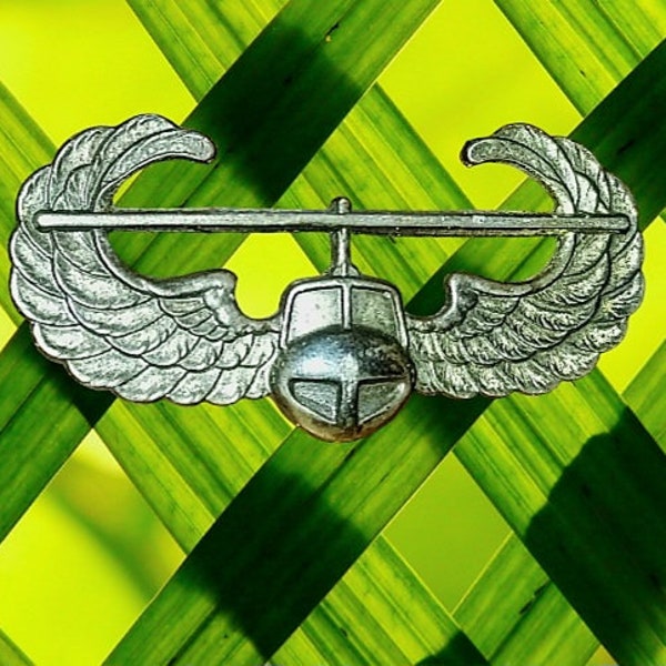 Air Assault School - Etsy