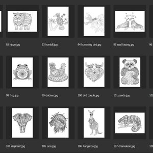 150 Animal PDF Files for Coloring Book , KDP by the Real Creator - Etsy