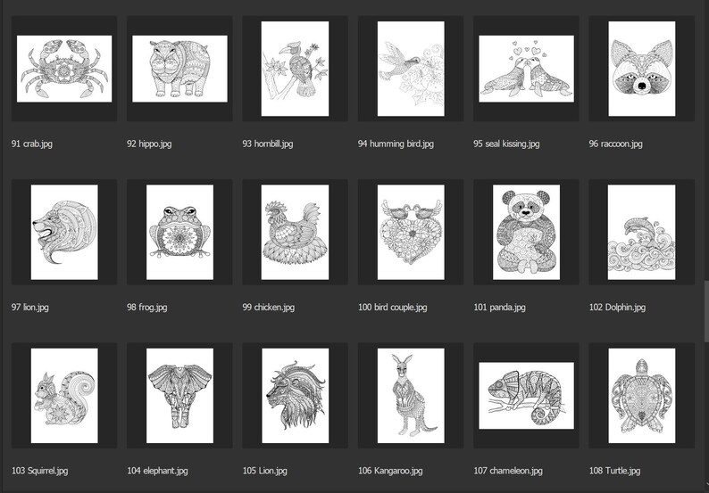 150 Animal PDF Files for Coloring Book KDP by the Real | Etsy