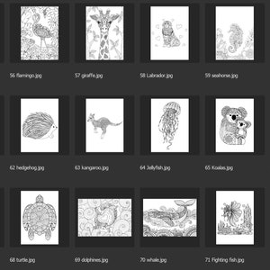 150 Animal PDF Files for Coloring Book , KDP by the Real Creator - Etsy