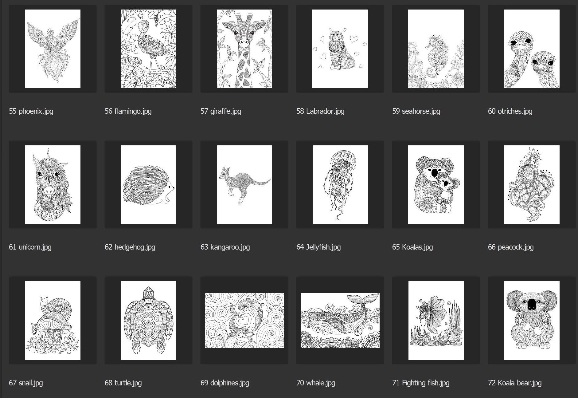 150 Animal PDF Files for Coloring Book , KDP by the Real Creator - Etsy