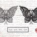 Two Styles of Butterfly Svg / Butterfly Svg / Butterfly Zentangle ...