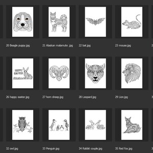 150 Animal PDF Files for Coloring Book , KDP by the Real Creator - Etsy