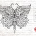 Two Styles of Butterfly Svg / Butterfly Svg / Butterfly Zentangle ...