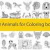 150 Animal PDF Files for Coloring Book , KDP by the Real Creator - Etsy