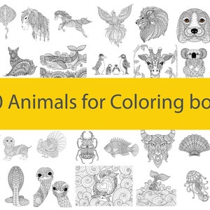 150 Animal PDF Files for Coloring Book , KDP by the Real Creator - Etsy