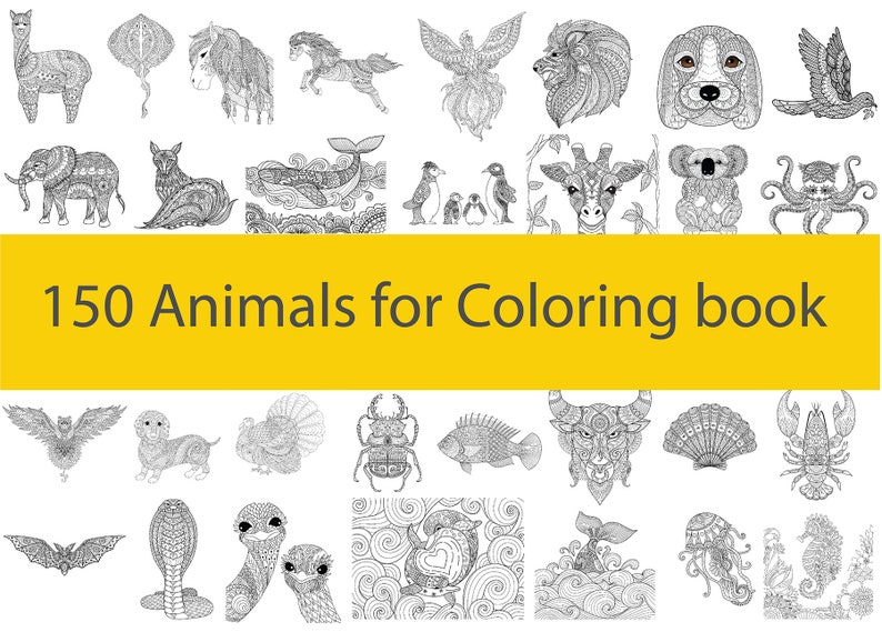 150 Animal PDF Files for Coloring Book KDP by the Real | Etsy