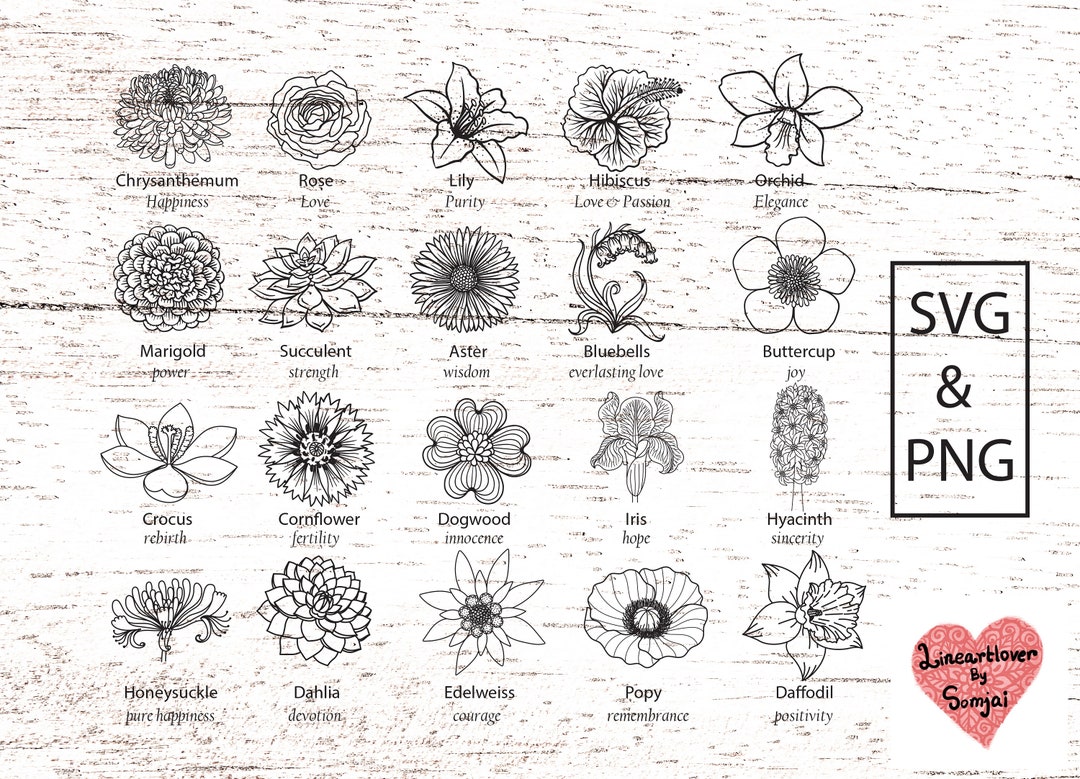 20 Flowers With Good Meanings, Flowers Svg, Floral Svg, Hand Drawn ...