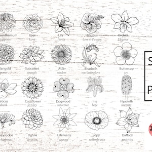 20 Flowers With Good Meanings, Flowers Svg, Floral Svg, Hand Drawn ...