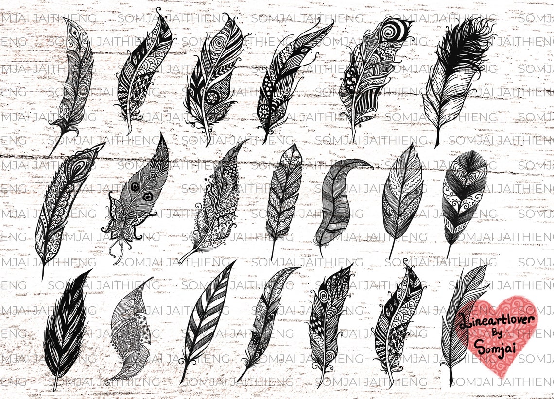 Original 20 plumes / Plumes svg / Plumes svg / Plumes png / | Etsy