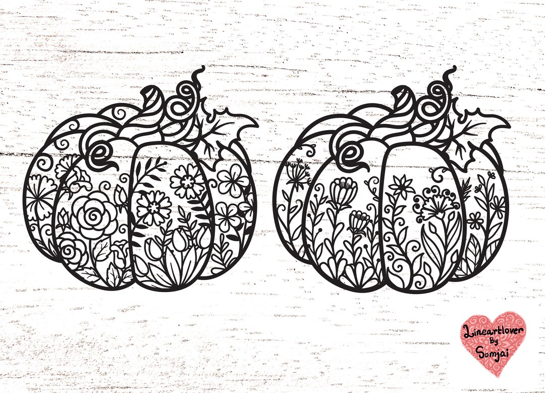 2 Styles of Pumpkins Svg / Autumn Pumpkin Svg / Floral Pumpkin Svg ...