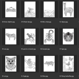 150 Animal PDF Files for Coloring Book , KDP by the Real Creator - Etsy