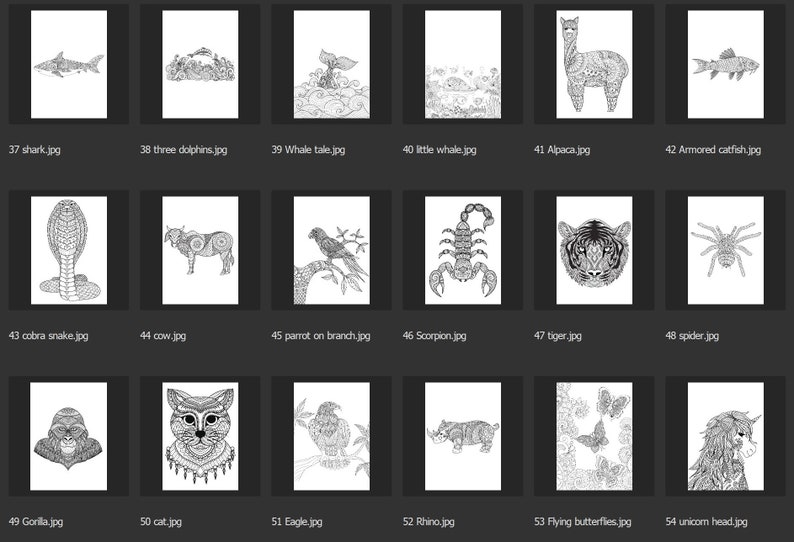 150 Animal PDF Files for Coloring Book KDP by the Real | Etsy