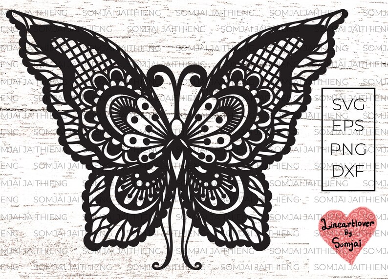 Two styles of butterfly svg / butterfly svg / butterfly | Etsy