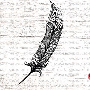 Original 20 plumes / Plumes svg / Plumes svg/ Plumes png/ Dessiné à la ...
