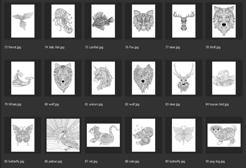 150 Animal PDF Files for Coloring Book KDP by the Real | Etsy