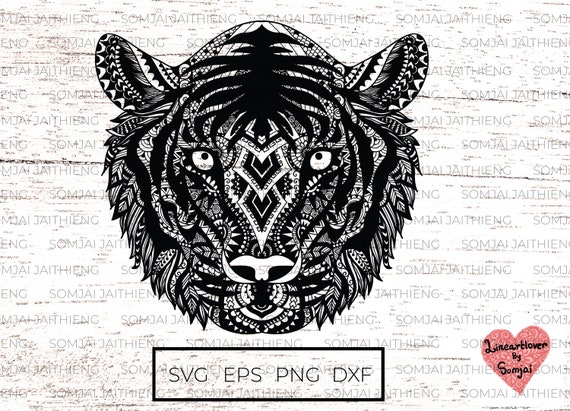 Two Tigers Head To Head