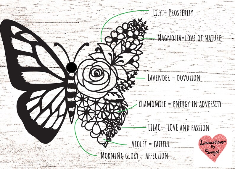 Floral Butterfly Svg Each Flower Has Good Meaning. Butterfly | Etsy