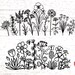 9 Styles Wildflowers Svg / Spring Svg / Meadow Svg/ Garden Svg/ Flowers ...
