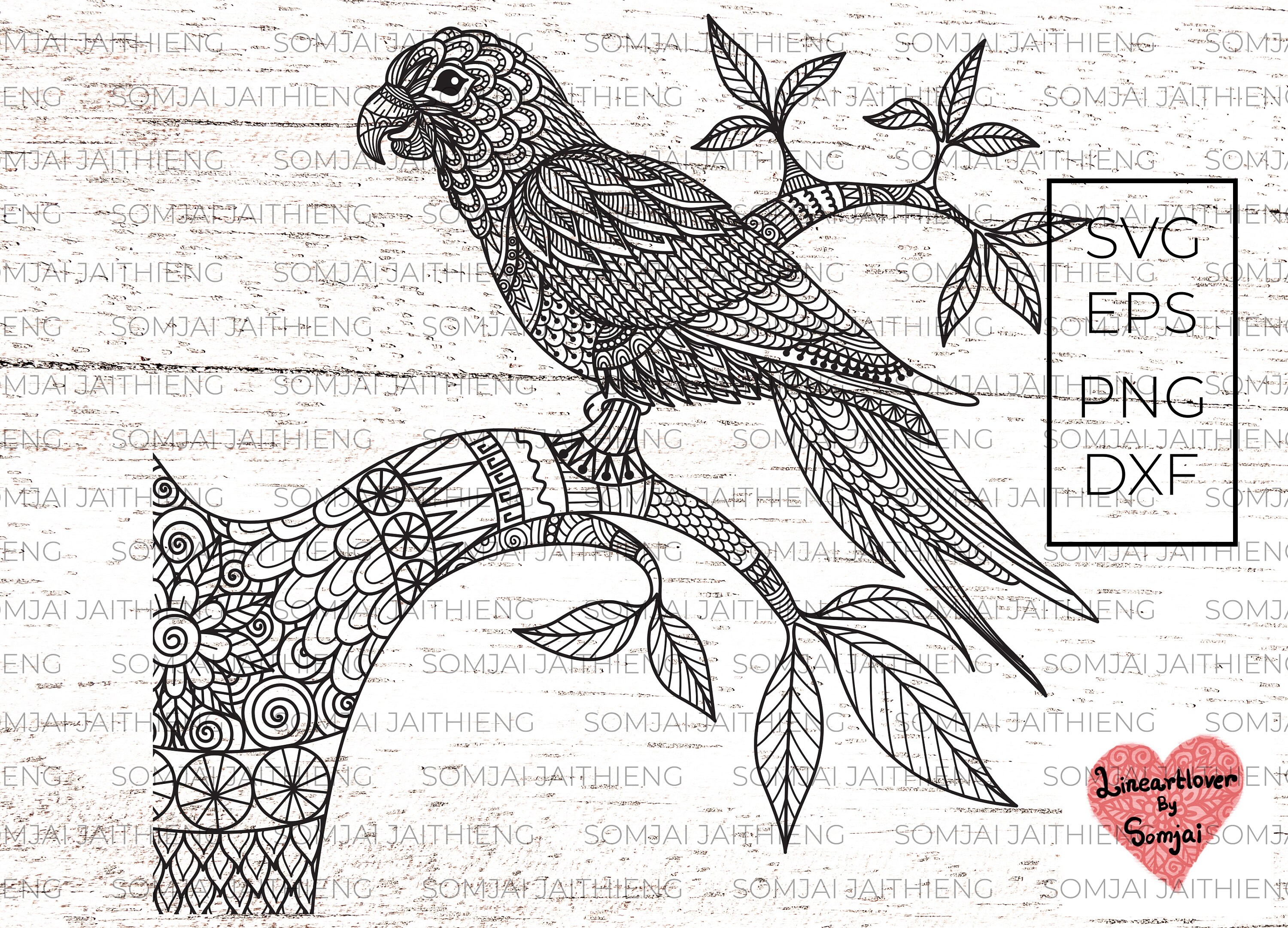 Parrot on branch svg parrot zentangle svg mandala svg | Etsy