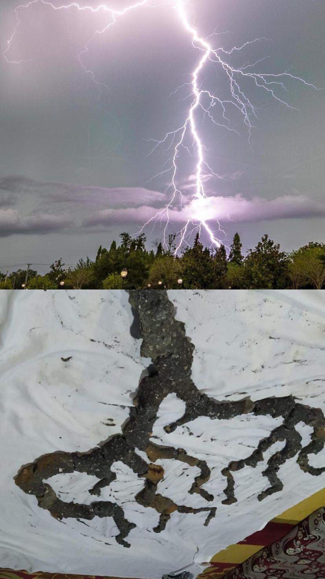 Fulgurite Tree Certified Lightning Strike Melted Rock. - Etsy