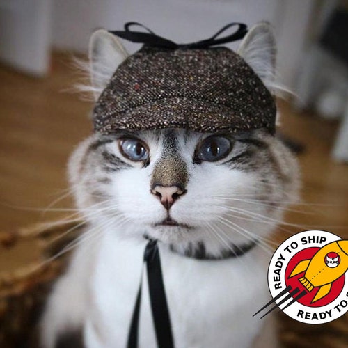 Ready to Ship. Blue Cat Hat. Cap for Cats and Kittens. Pet - Etsy