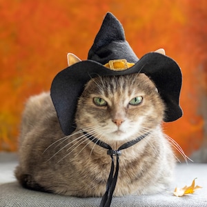 Witch Cat Hat, Halloween Photo Prop, Wizard Hat, Halloween Cat Costume ...