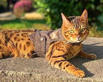 Classic Tweed Cat Walking Jacket dark Kazuki. | Etsy