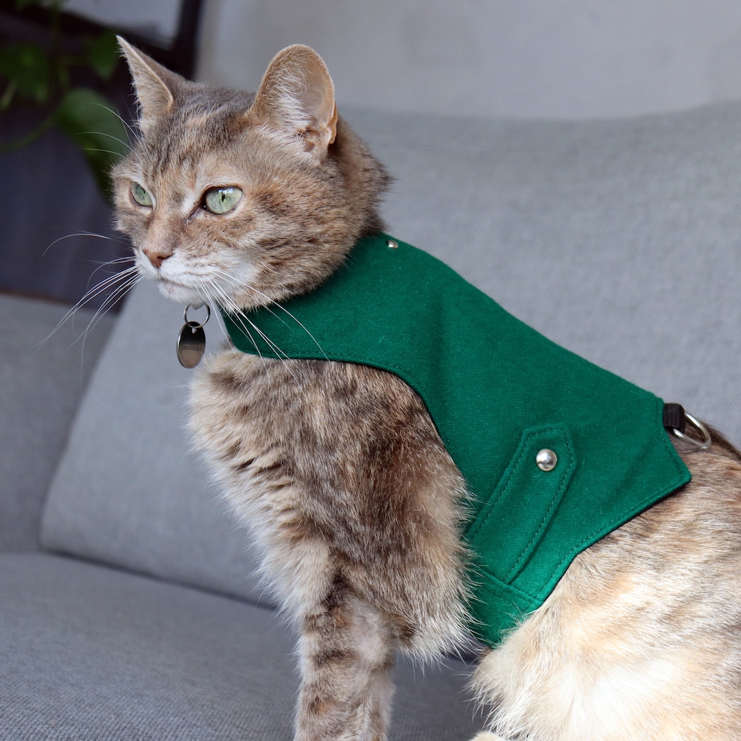 Escape Proof Cat Harness. Custom Made Kitten Vest. Green Woolen Cat ...