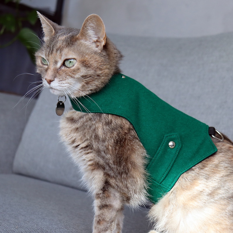 Escape Proof Cat Harness. Custom Made Kitten Vest. Green Woolen Cat ...