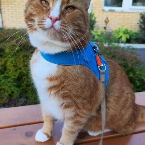 Escape Proof Blue Fishing Vest. Custom-made Water-repellent Cat Harness ...