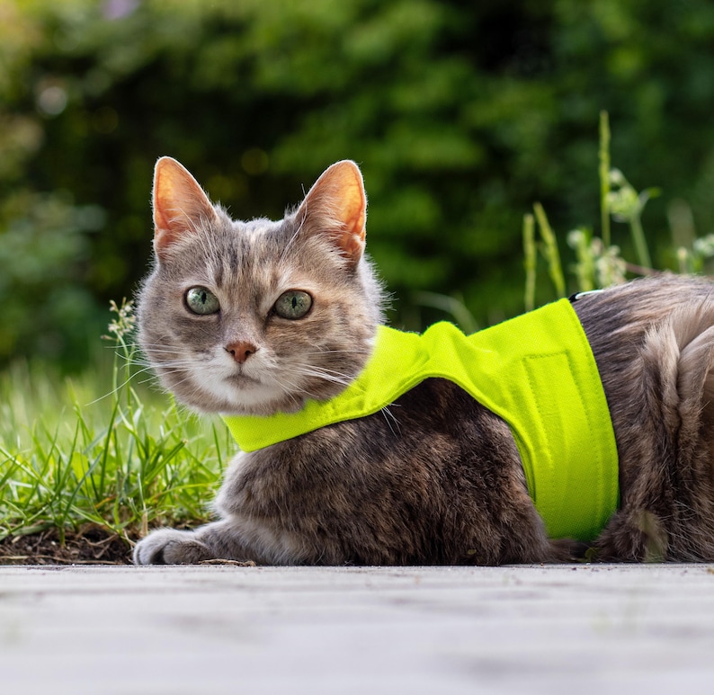 Escape Proof Cat Harness for Walking | ONE SIZE | NEON Yellow ...