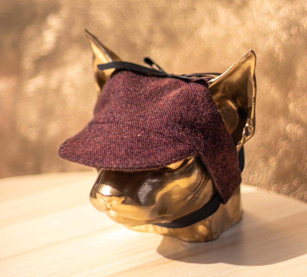 Sphynx Cat Clothes. Burgundy Cat Hat. Cap for Cats and Kittens. Pet ...