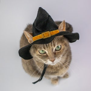 Witch Cat Hat, Halloween Photo Prop, Wizard Hat, Halloween Cat Costume ...