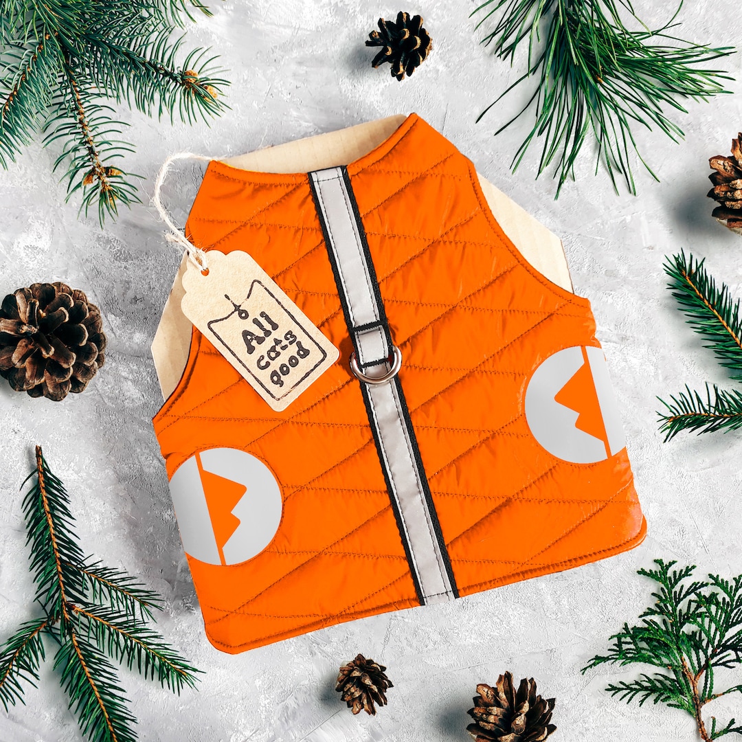 Neon Orange High Visibility Warm Cat Harness With Reflective Elements ...
