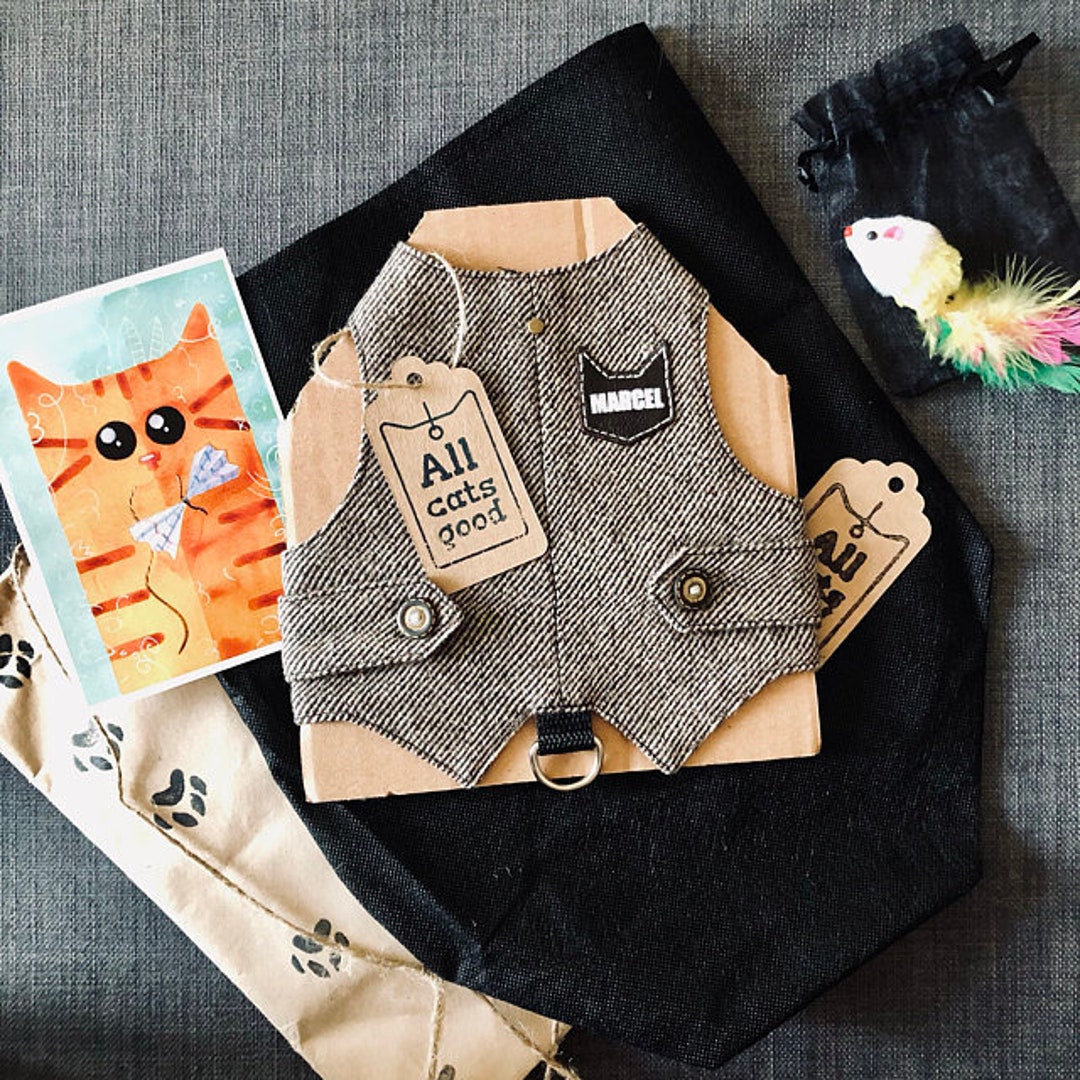 Personalised Classic Style Harness. Difficult to Escape. Tweed Harness ...