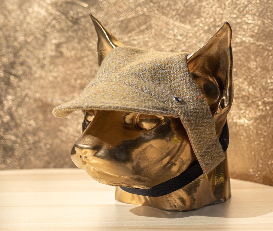 Sphynx Cat Clothes. Classic Cat Hat. Cap for Cats and Kittens. Yellow ...