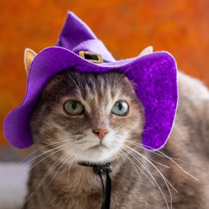 Wizard Hat for Cat, Witch Cat Hat, Halloween Photo Prop, Halloween Cat ...