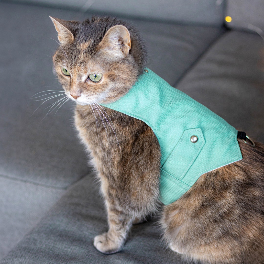 Difficult to Escape and Adjustable Azure Harness for Cats and Kittens ...