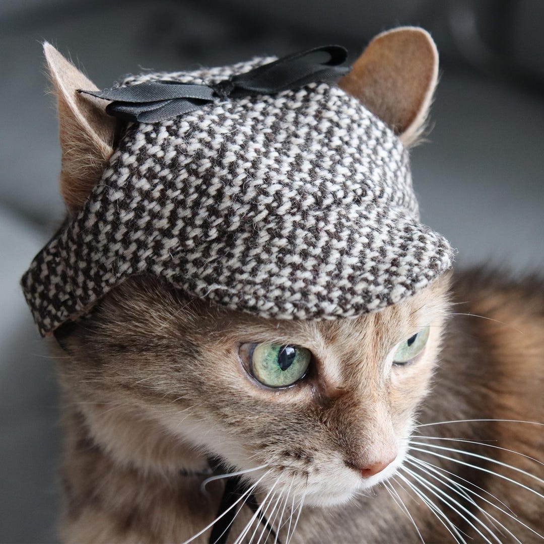 Cat Hat. Deerstalker Hat for Cats. Cap for Cats and Kittens. Pet ...