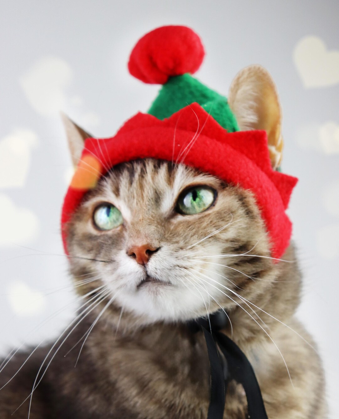 Elf Cat Hat. Christmas Cap for Cats and Kittens. Small Dogs Hat. Pet ...