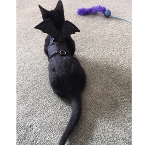 Total Black Harness With Removable Bat Wings for Halloween. Difficult ...
