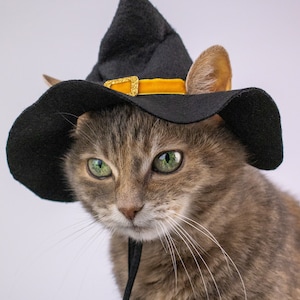 Witch Cat Hat, Halloween Photo Prop, Wizard Hat, Halloween Cat Costume ...