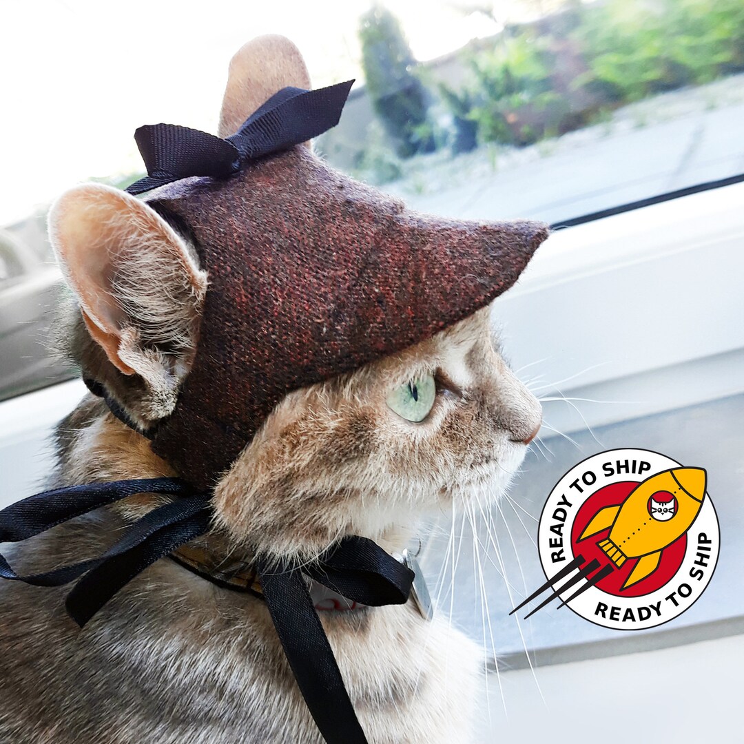 Ready to Ship. Burgundy Cat Hat. Cap for Cats and Kittens. Pet Photo ...
