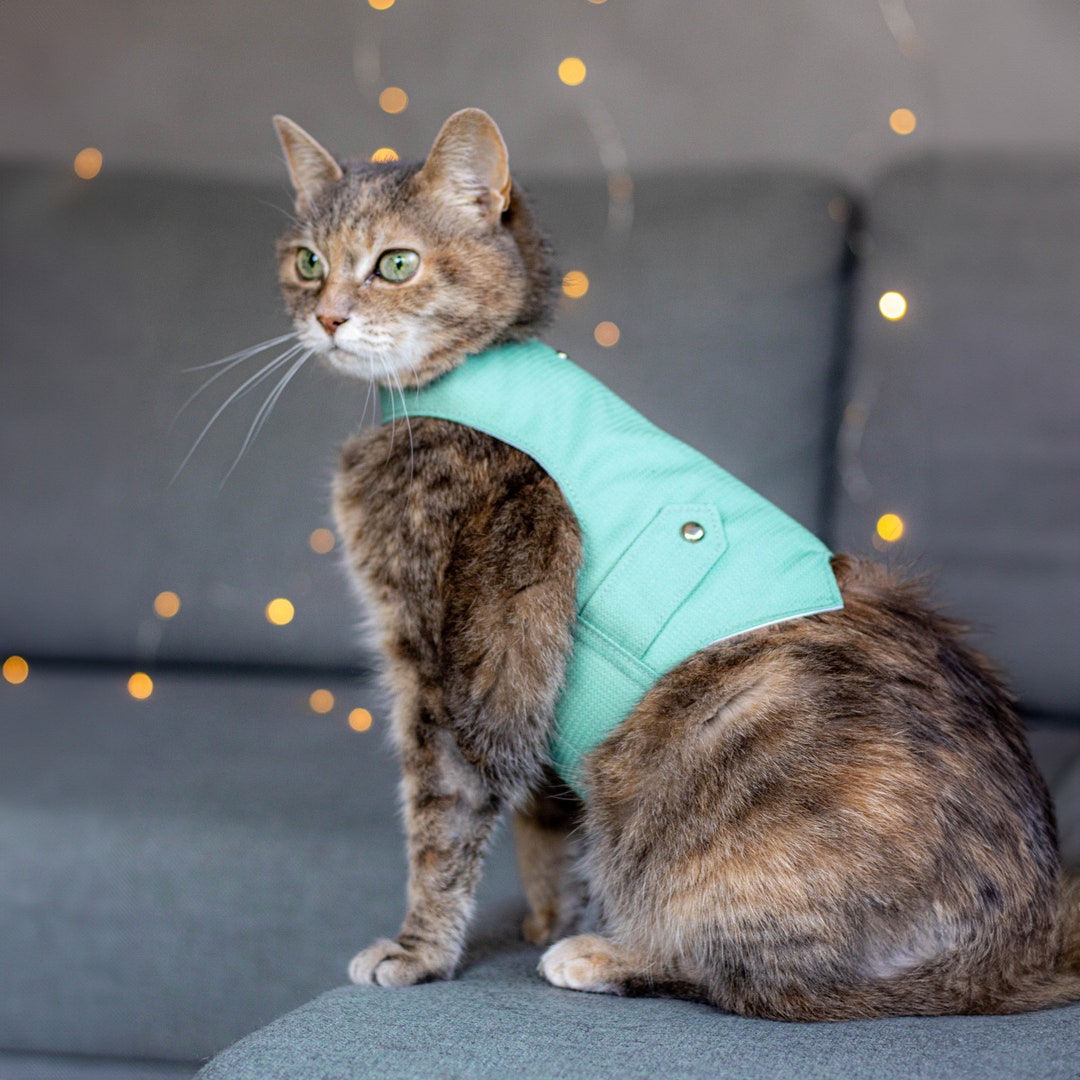 Escape Proof and Adjustable Azure Harness for Cats and Kittens. Custom ...