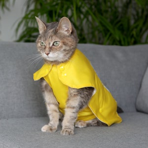 CAT Rain Coat, Waterproof Cat Jacket, Comfortable Cat Raincoat, Cat ...
